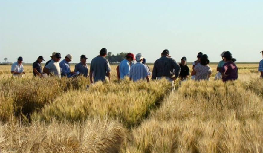 El 71 De Los Productores Agropecuarios No Piensa Realizar Inversiones